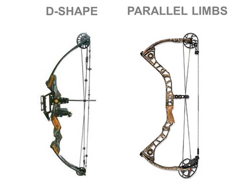 Parts of a Compound Bow: What You Must Know Before Buying One