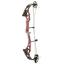 Best Women's Compound Bow: The Ultimate Guide